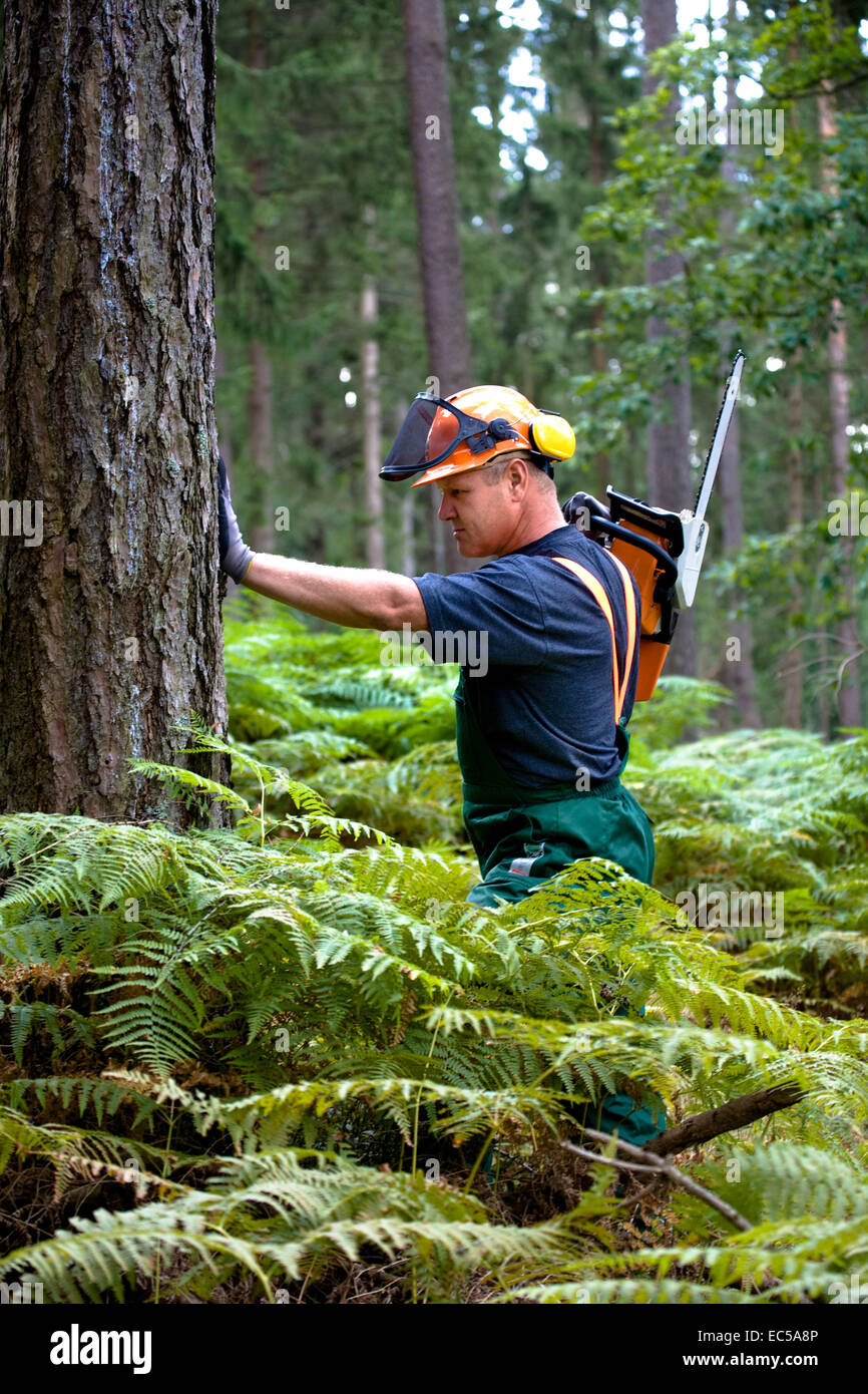 Woodcutter High Resolution Stock Photography and Images - Alamy
