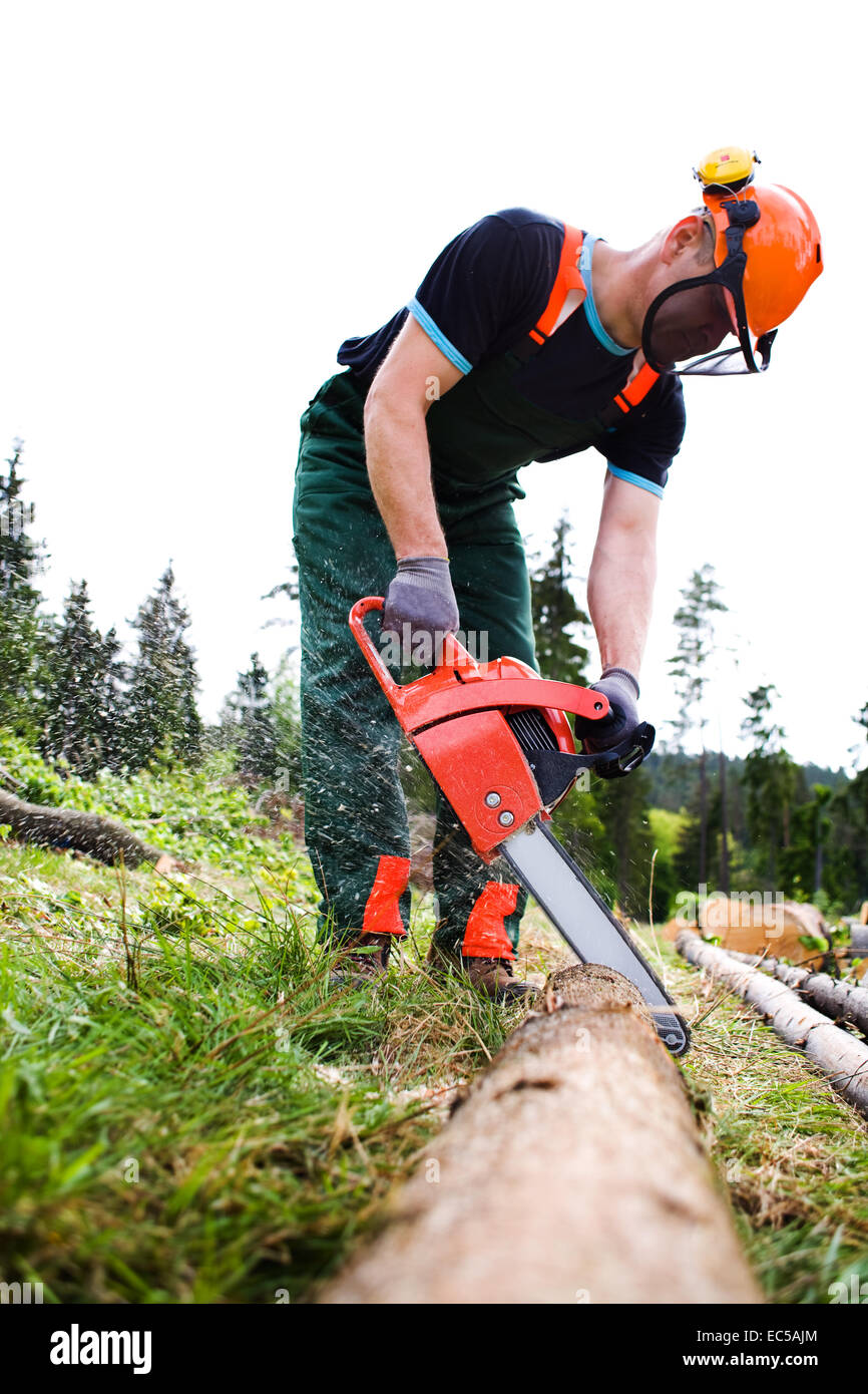 a woodcutter at work in the forest Stock Photo - Alamy