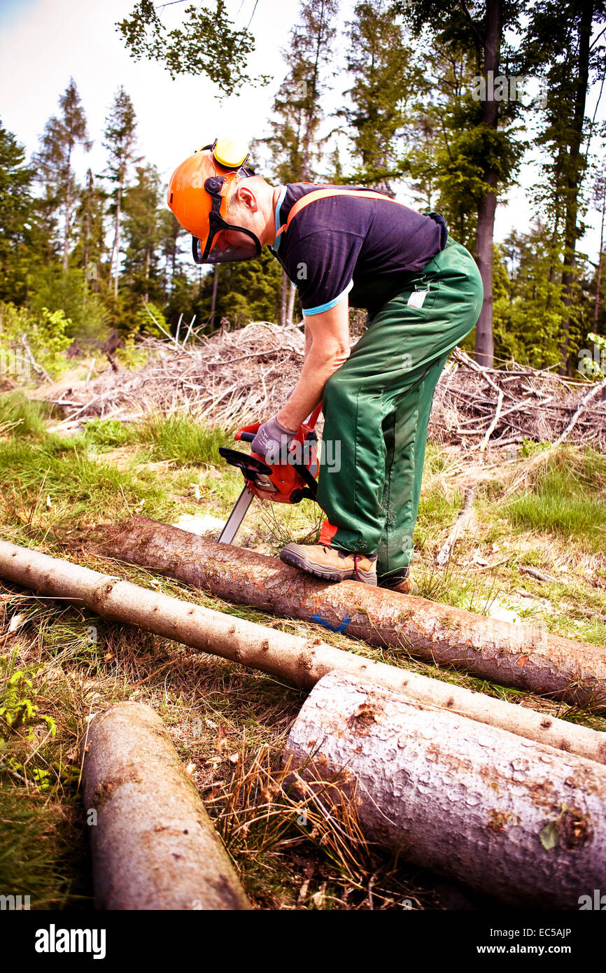 a woodcutter at work in the forest Stock Photo - Alamy