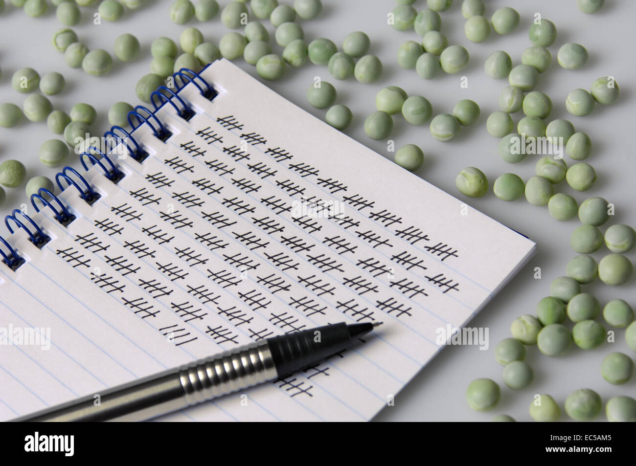 Pea counters hi-res stock photography and images - Alamy