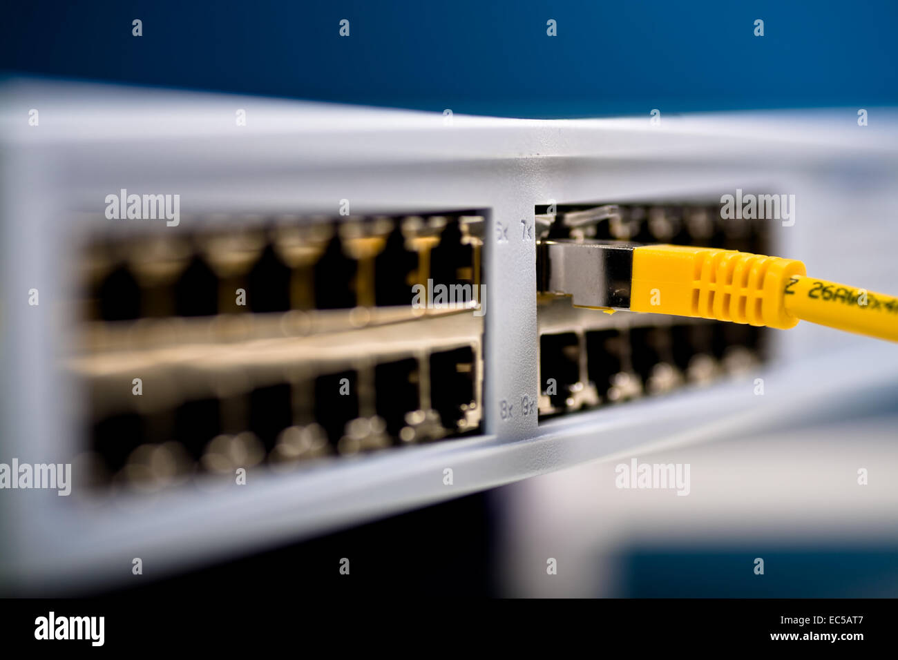 network switches and patch cables Stock Photo - Alamy