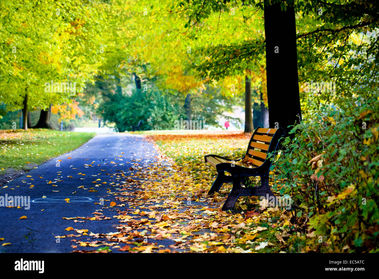 a park at the fall Stock Photo - Alamy
