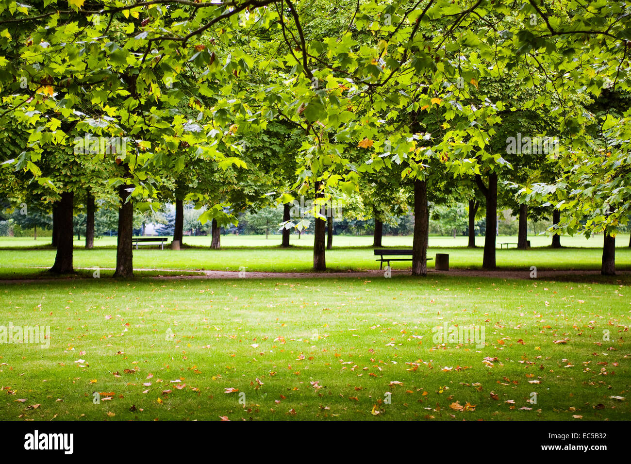 Scenes of the old park Stock Photo - Alamy