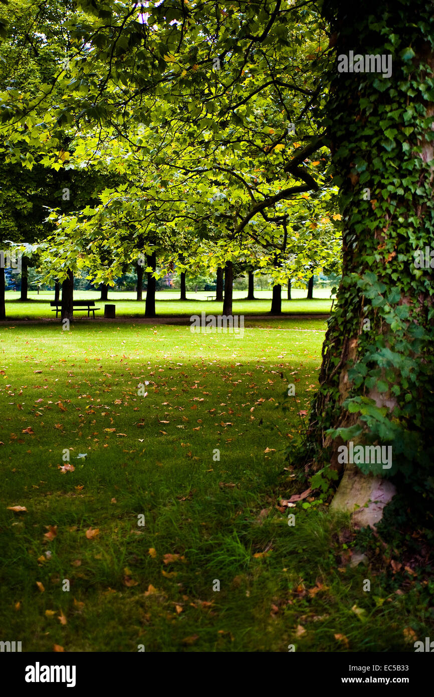 Scenes of the old park Stock Photo - Alamy