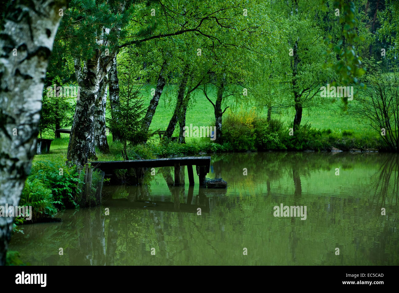 a lake early in the morning Stock Photo - Alamy