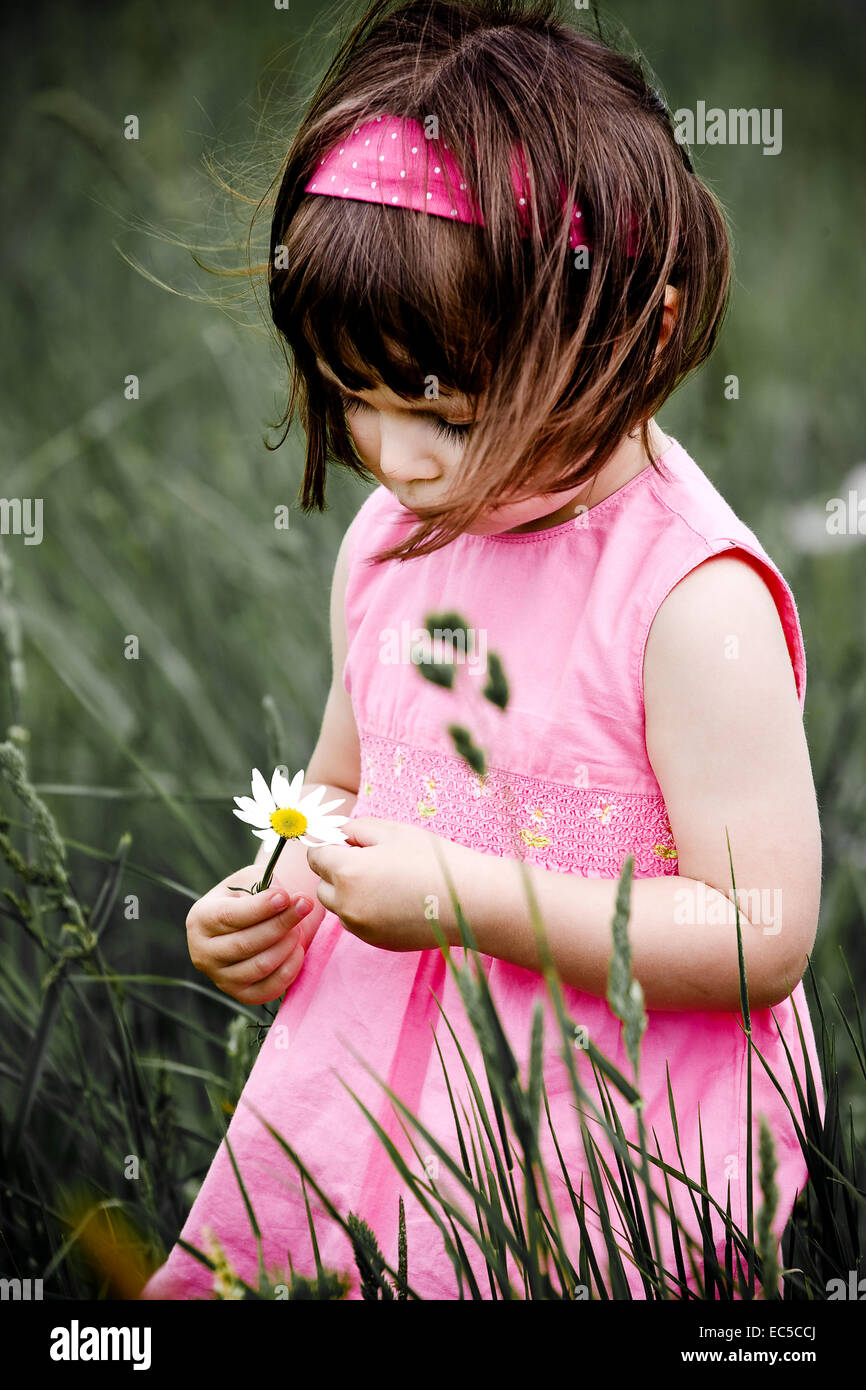 little girls walking and ranking the fields Stock Photo - Alamy
