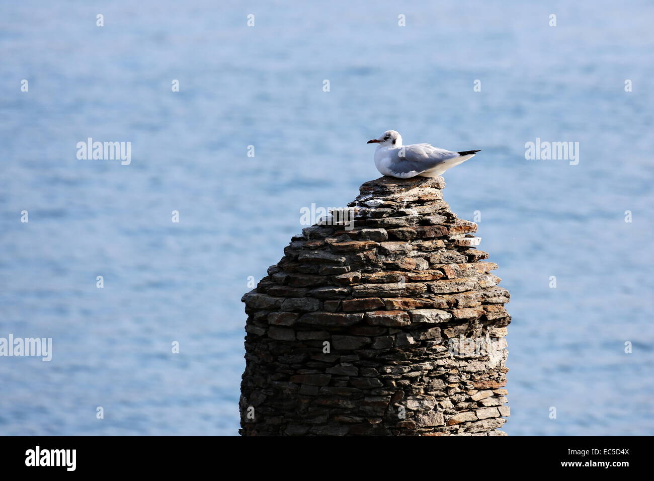 Baveno beach hi-res stock photography and images - Alamy