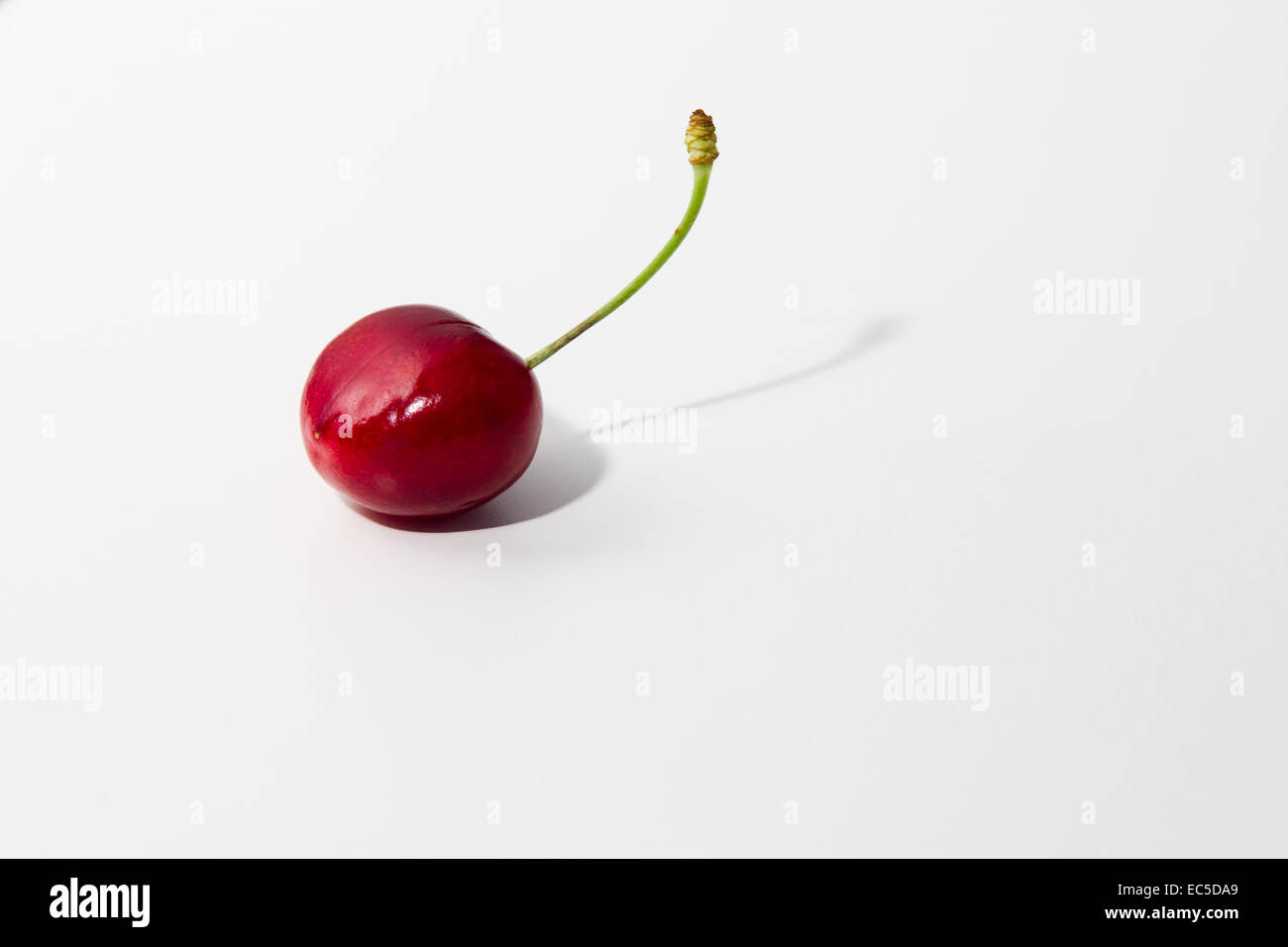 cherry with shadow Stock Photo - Alamy