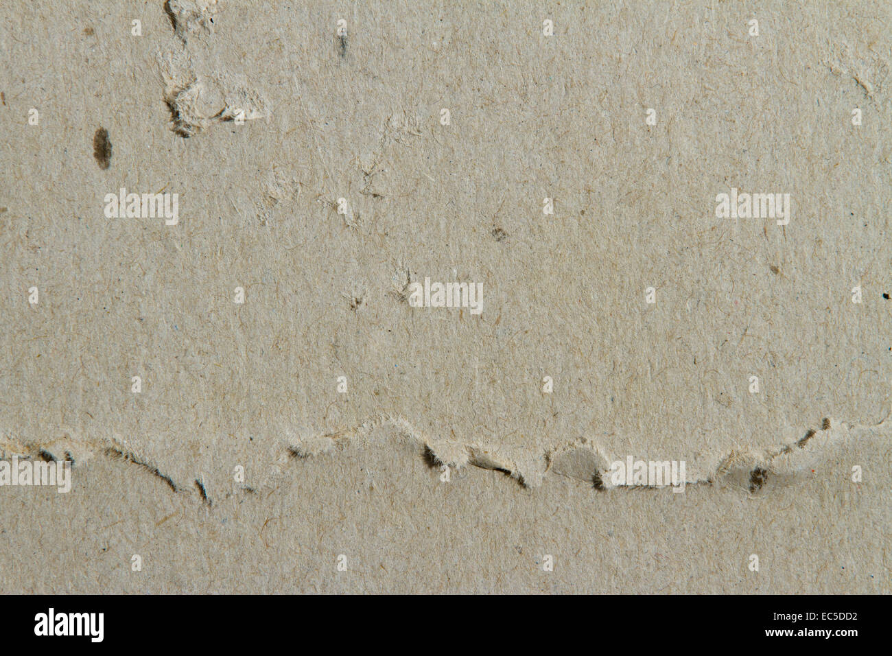 cardboard with crease Stock Photo - Alamy