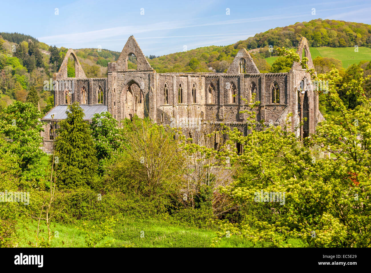 The ruins of Tintern Abbey a medieval Cistercian monastery ...