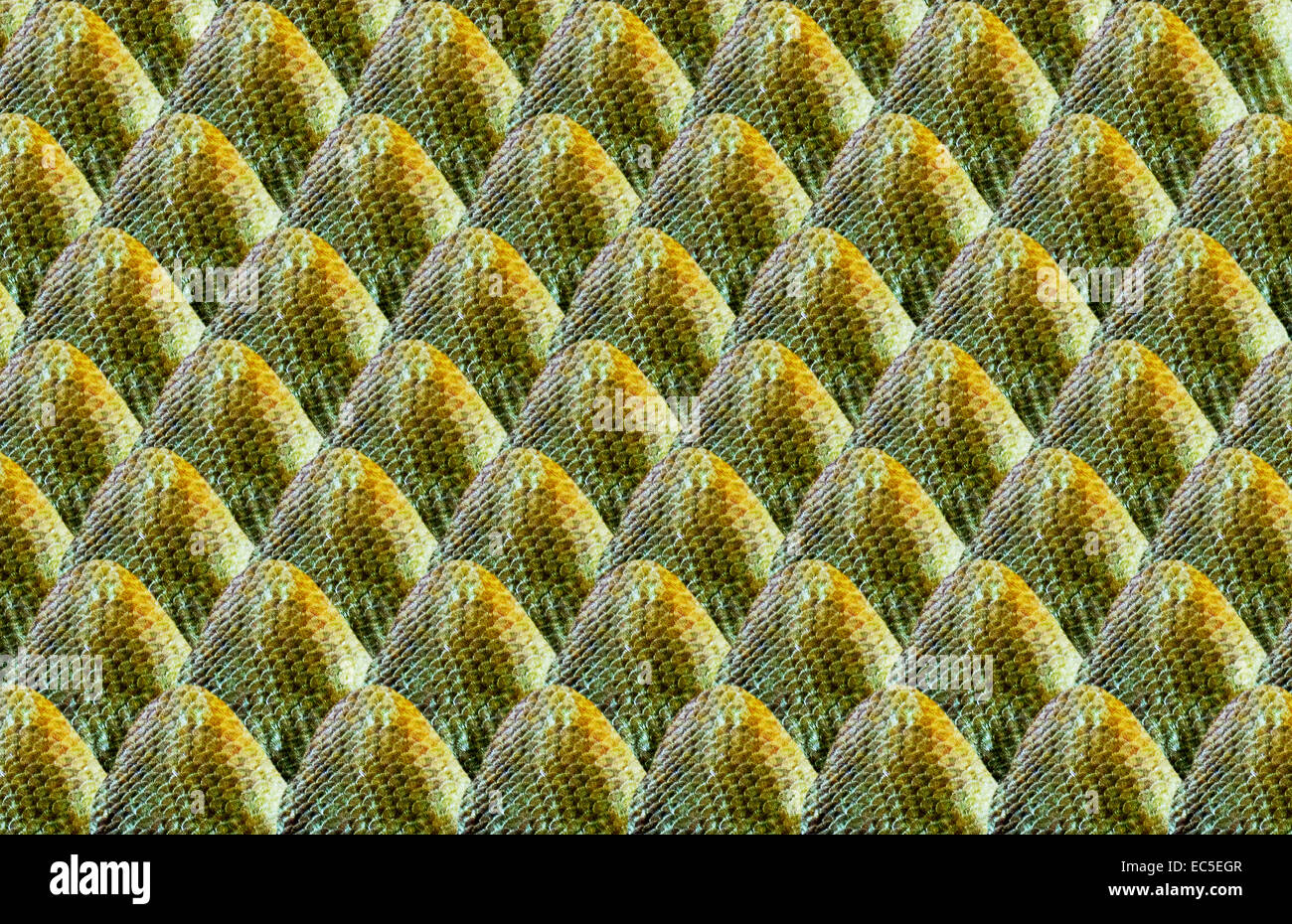 Uniform color scales hi-res stock photography and images - Alamy