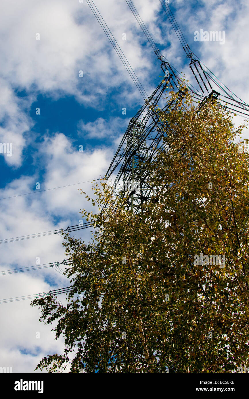 Tree line in front hi-res stock photography and images - Alamy