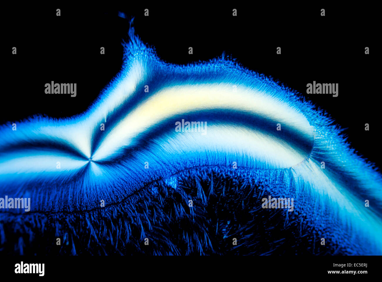 Polarized light microscope hi-res stock photography and images - Alamy