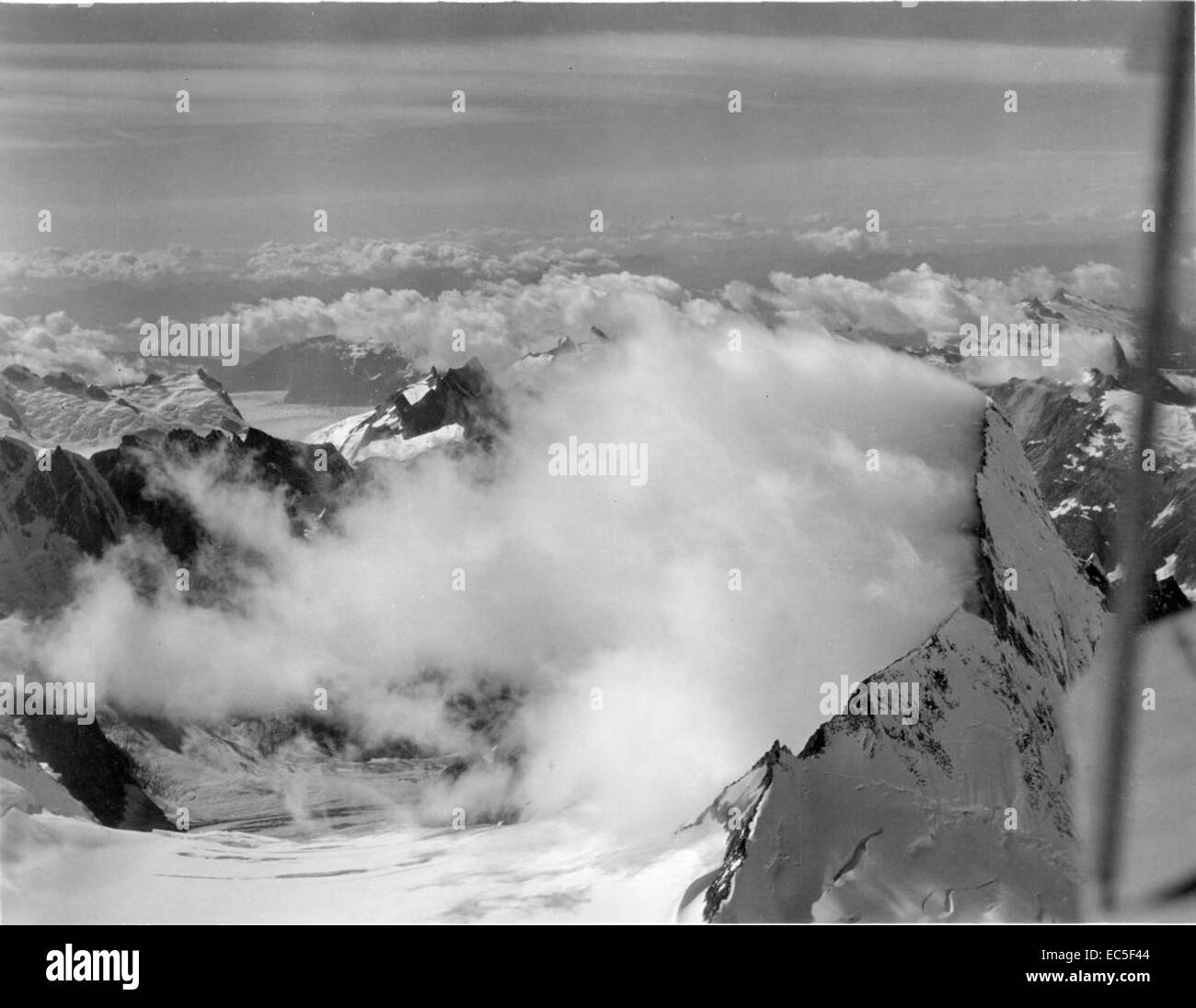 AL-92 is an aircraft used during an Alaskan aerial survey, providing ...