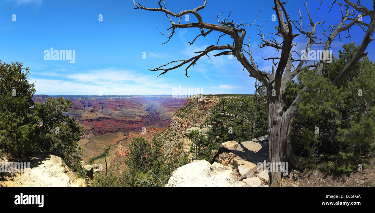 Stone bruise hi-res stock photography and images - Alamy