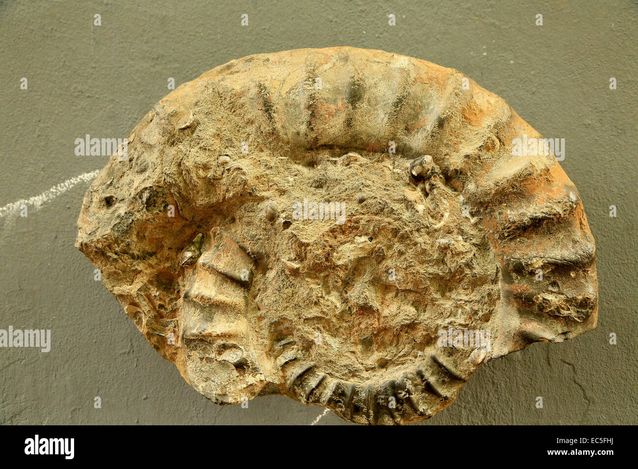 Artifact items hi-res stock photography and images - Alamy