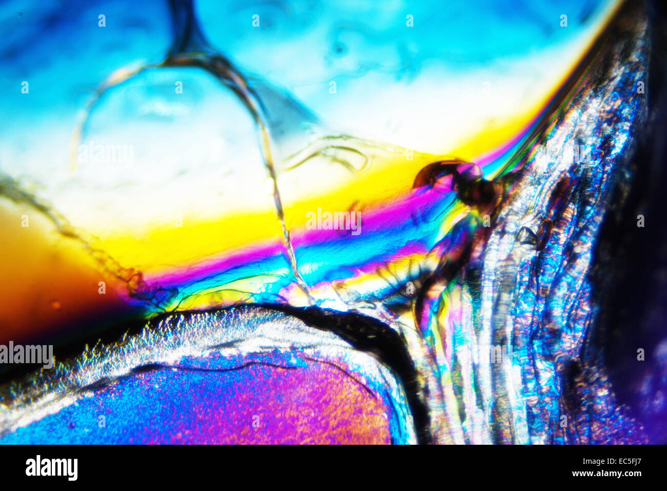 Light Graphics Microphoto of translucent structures in polarized light ...