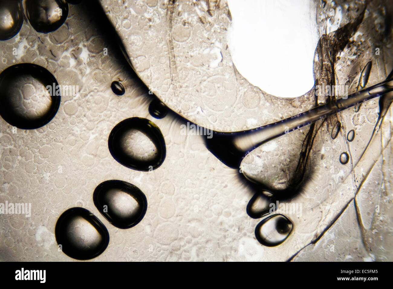 Micro structures hi-res stock photography and images - Alamy