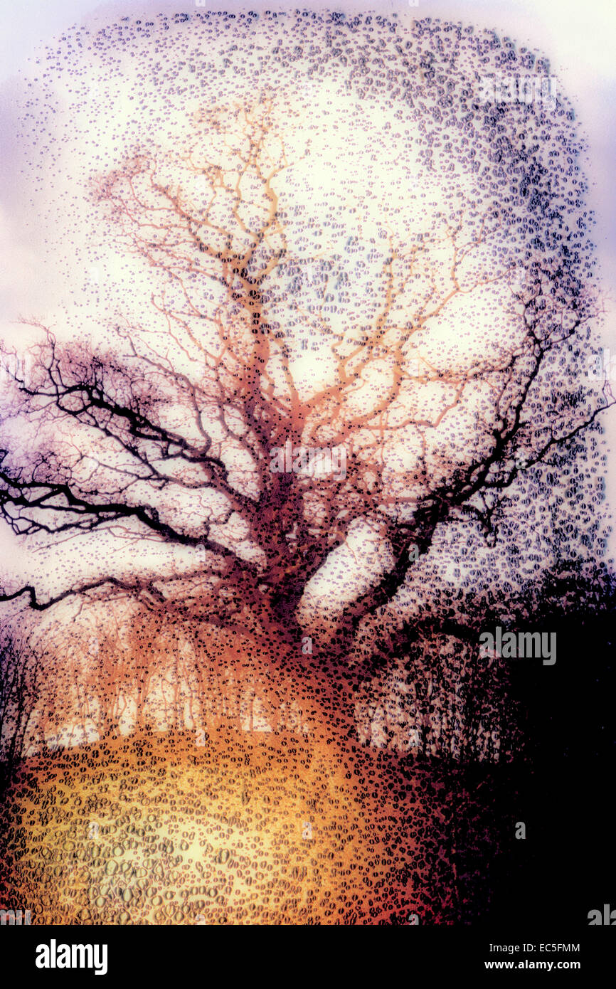 Scan of a burned color slide Stock Photo - Alamy