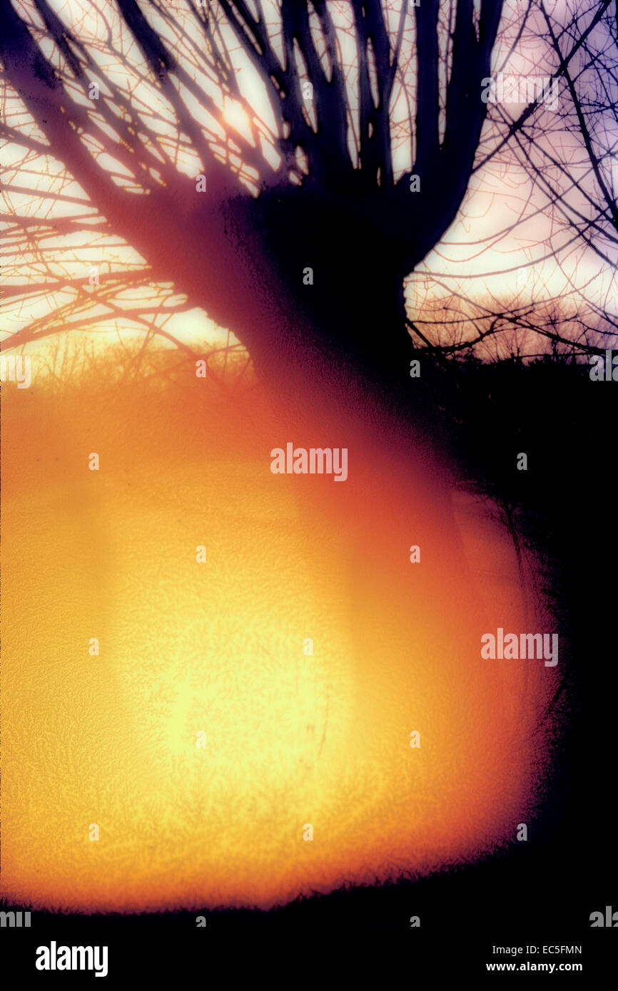 Color slide hi-res stock photography and images - Alamy