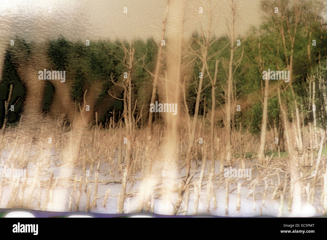 Scan of a burned color slide Stock Photo - Alamy