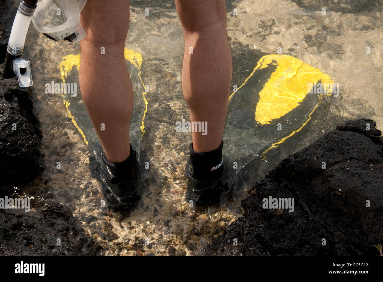 Man legs with fins Stock Photo - Alamy