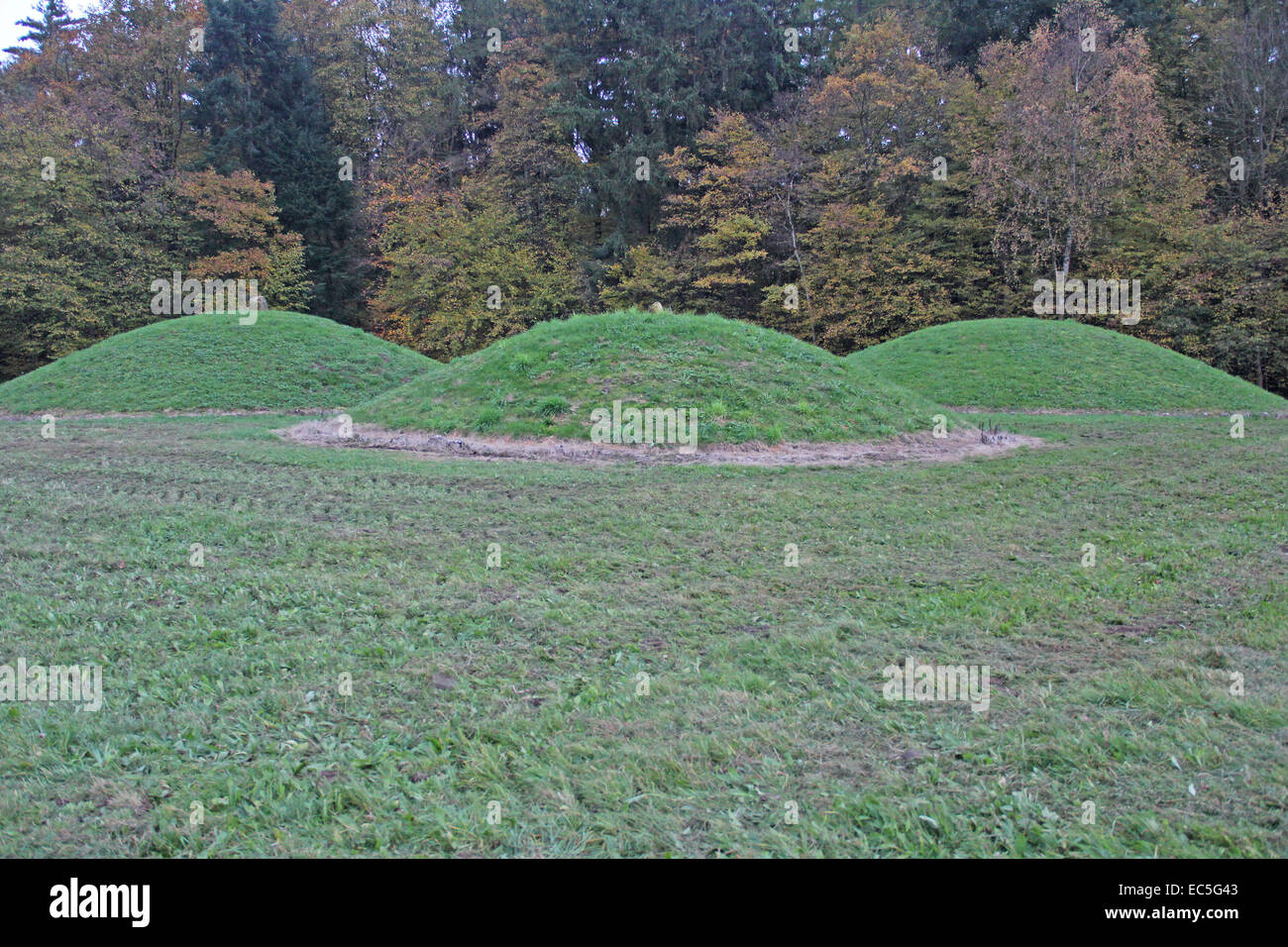 Early Celtic grave mound field Stock Photo - Alamy