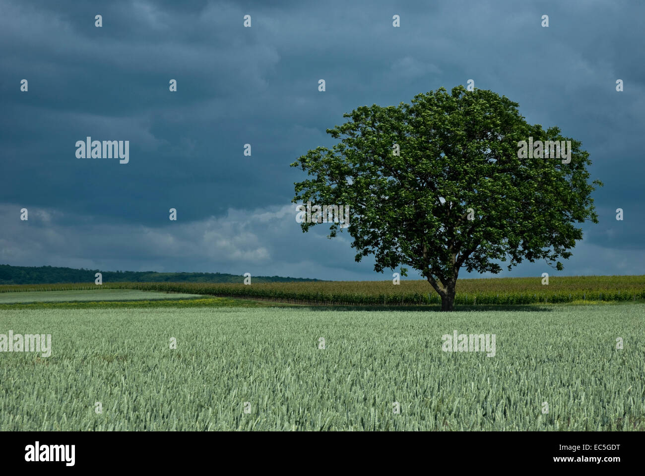 Thundery meadows hi-res stock photography and images - Alamy