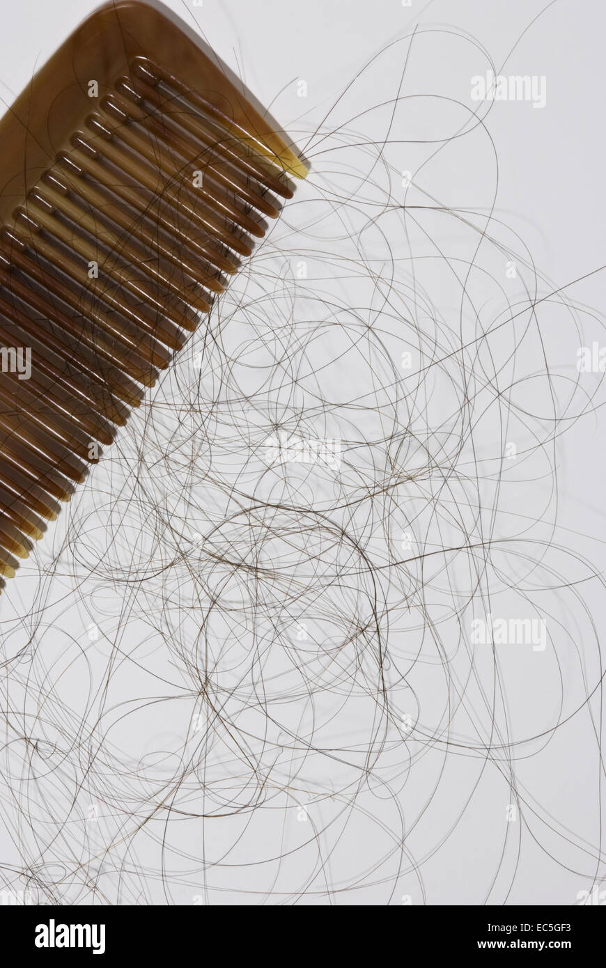 Hair loss diagnosis treatment hi-res stock photography and images - Alamy