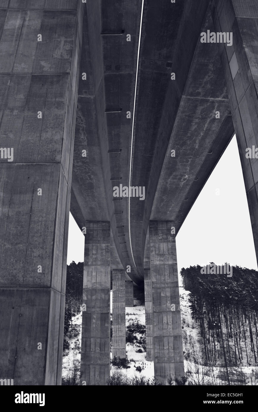 Frog bike hi-res stock photography and images - Alamy