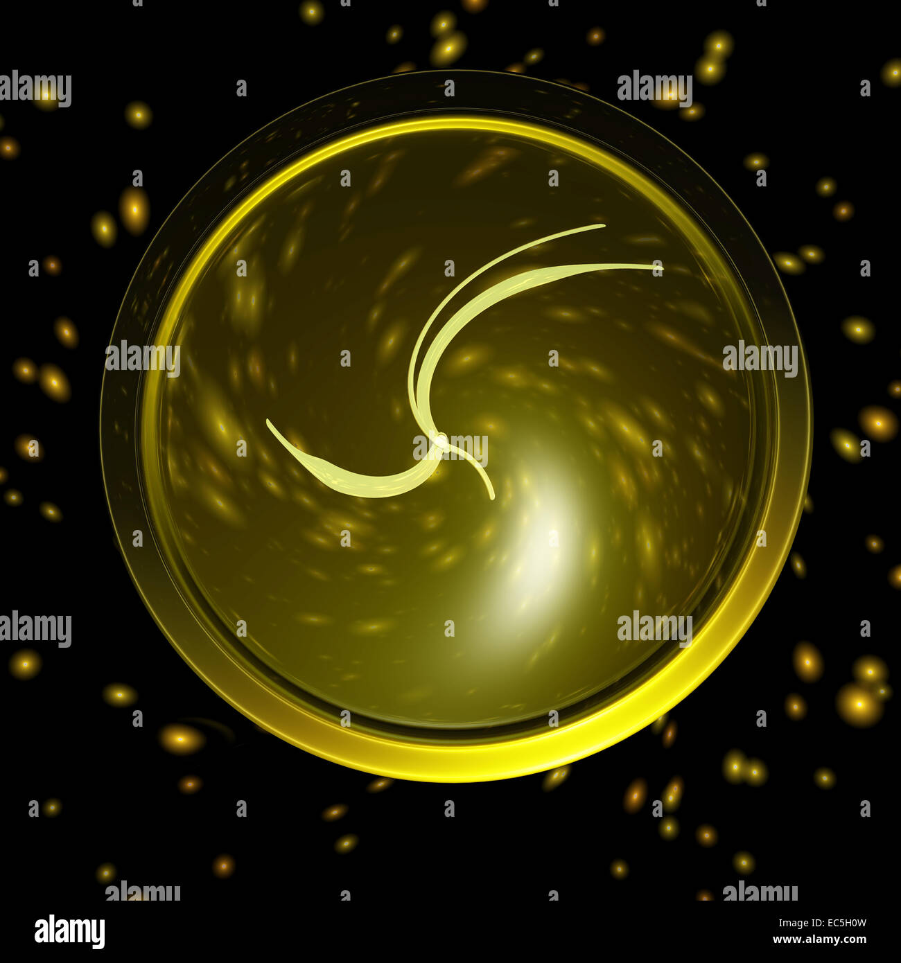 Time space einstein hi-res stock photography and images - Alamy