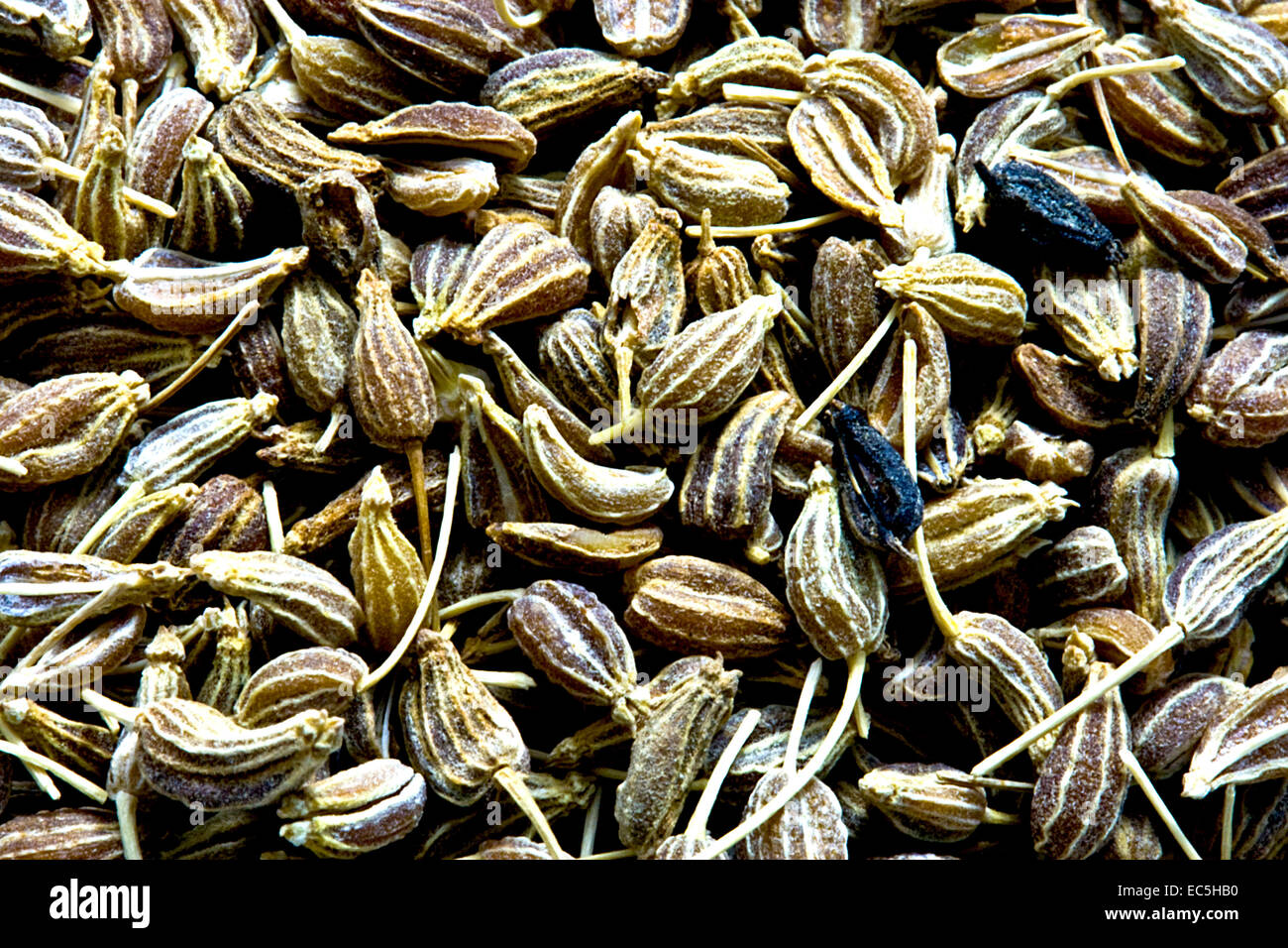 Fennel candy hi-res stock photography and images - Alamy