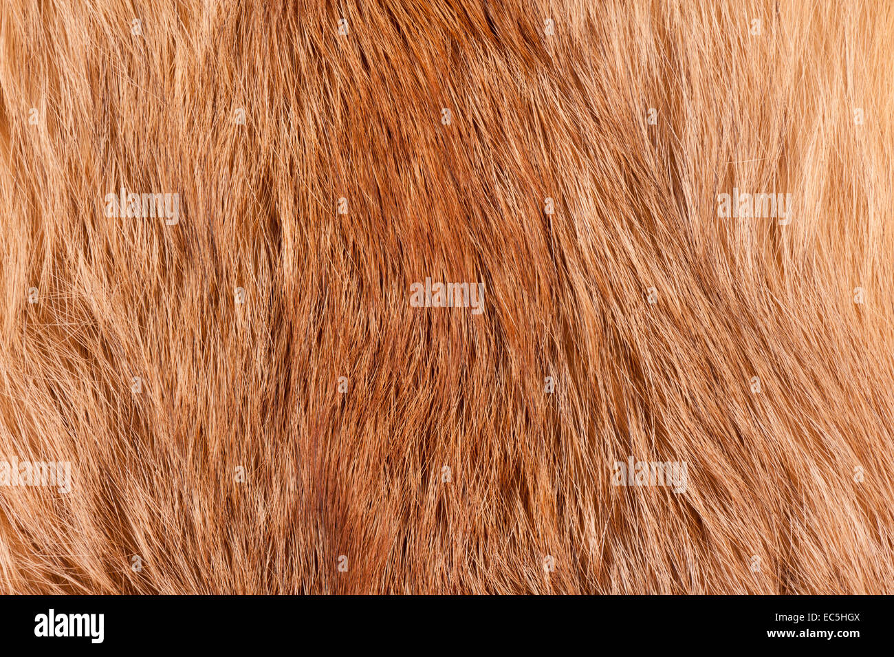Red fox fur texture cloth abstract Stock Photo - Alamy