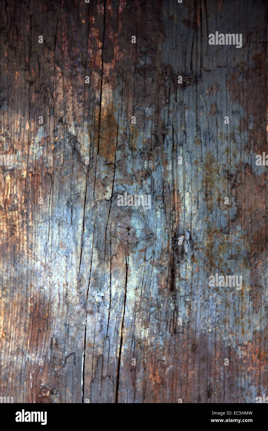 Compositional structure hi-res stock photography and images - Alamy