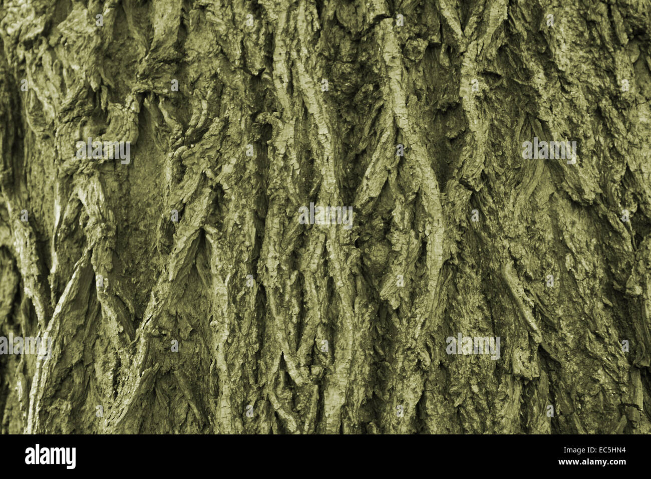 Dilapidated wall patterns hi-res stock photography and images - Alamy