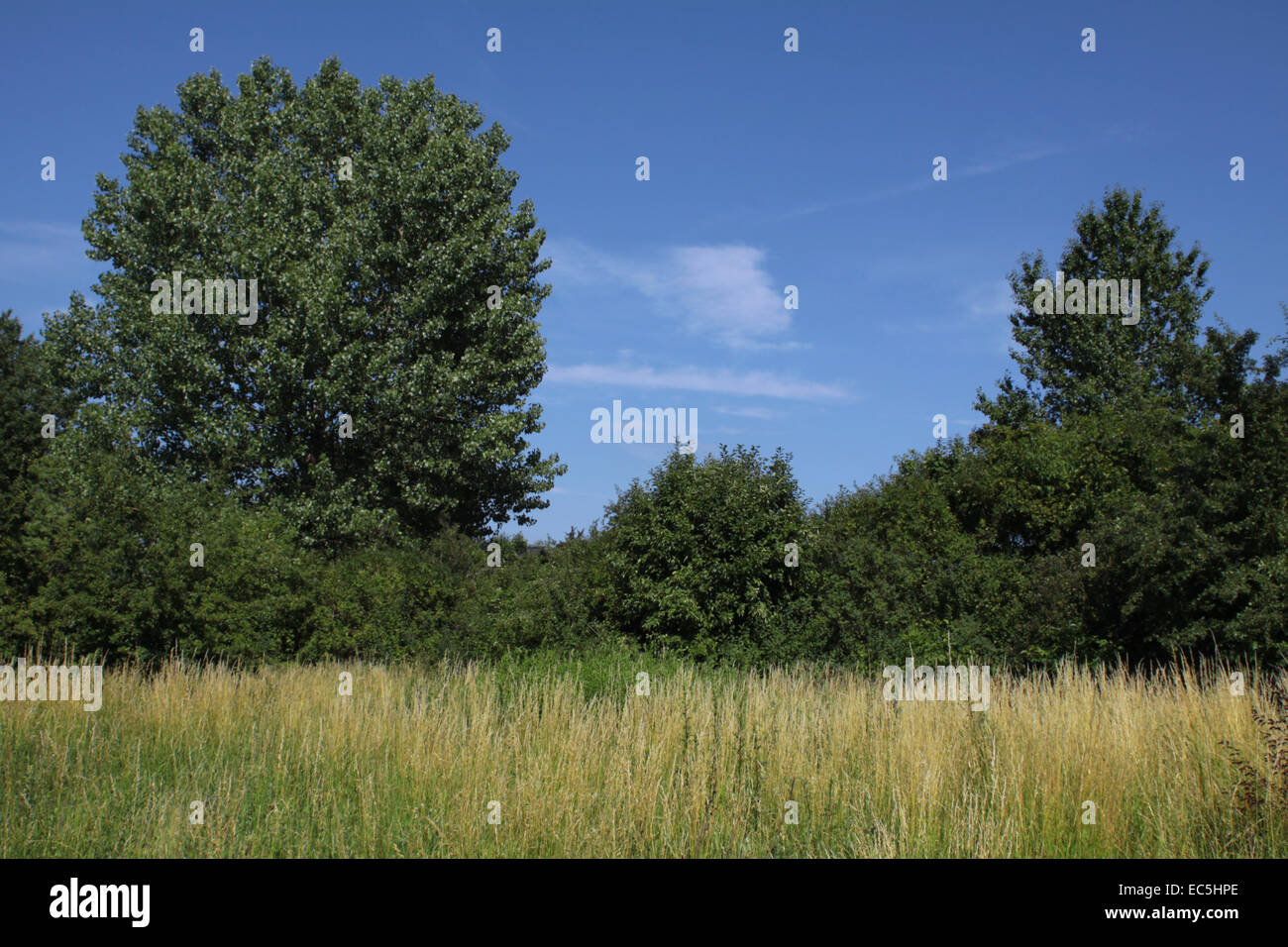 Camping plot hi-res stock photography and images - Alamy