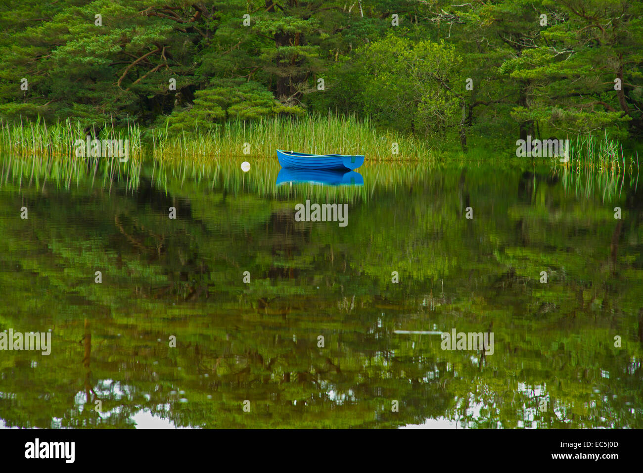 blue boat in the lake, Killarney, Ireland Stock Photo - Alamy
