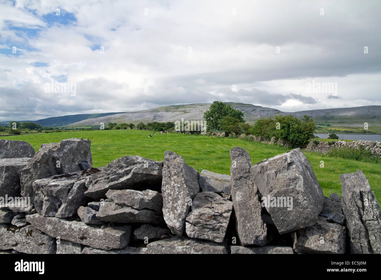 Connemara stone wall hi-res stock photography and images - Alamy
