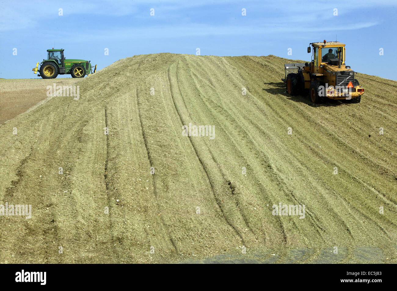 corn for fermentation energy plant Stock Photo - Alamy