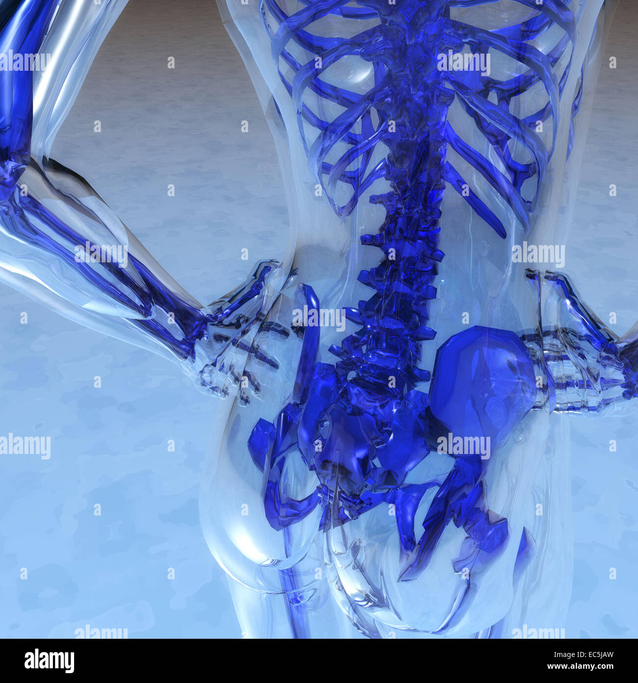 Guts anatomy hi-res stock photography and images - Alamy