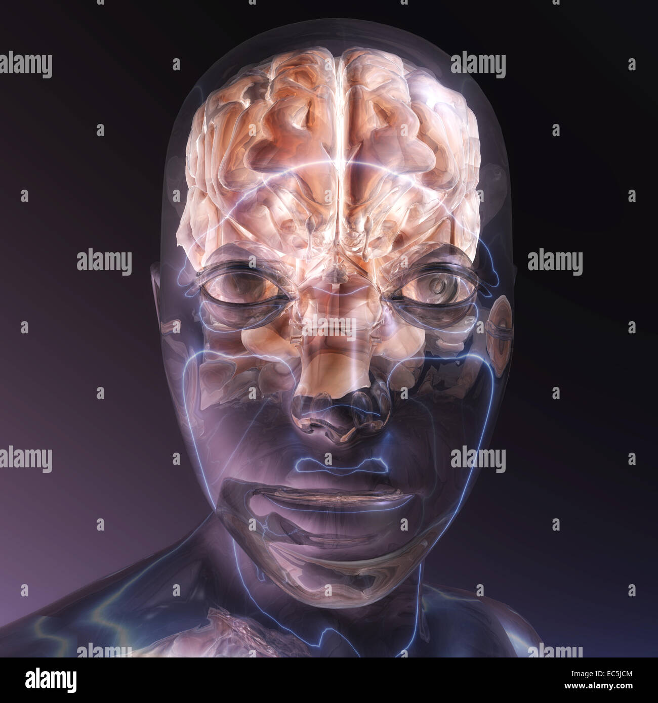 People medical science human anatomy organs organ illustrations ...