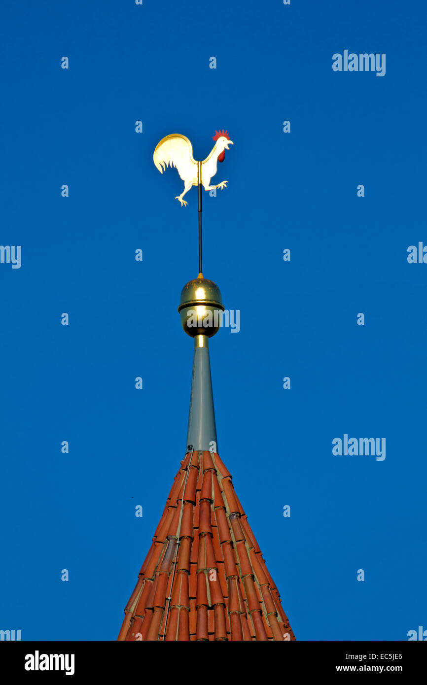 Golden weathercock on church hi-res stock photography and images - Alamy
