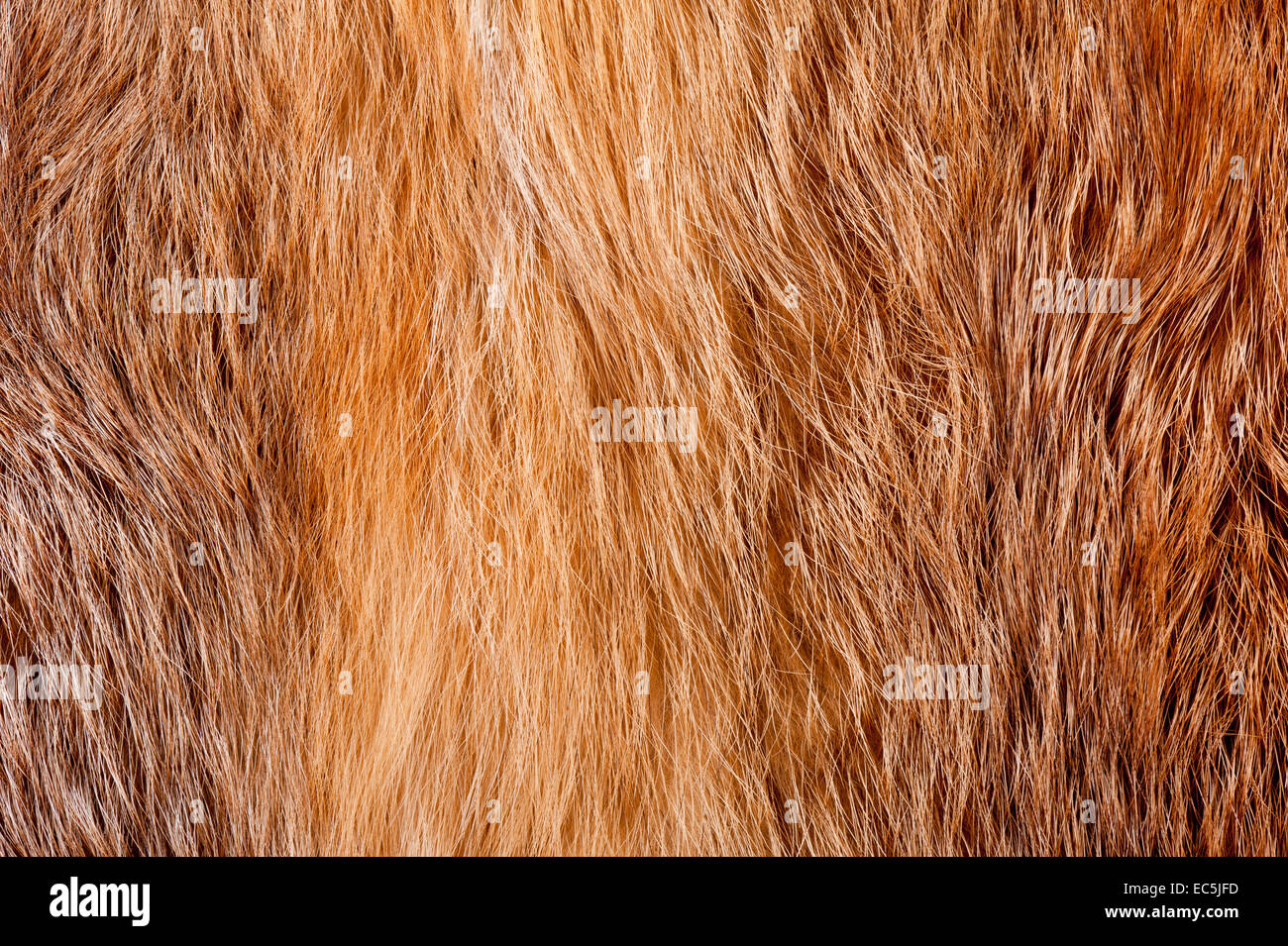 Red fox fur cloth pelt texture abstract Stock Photo - Alamy
