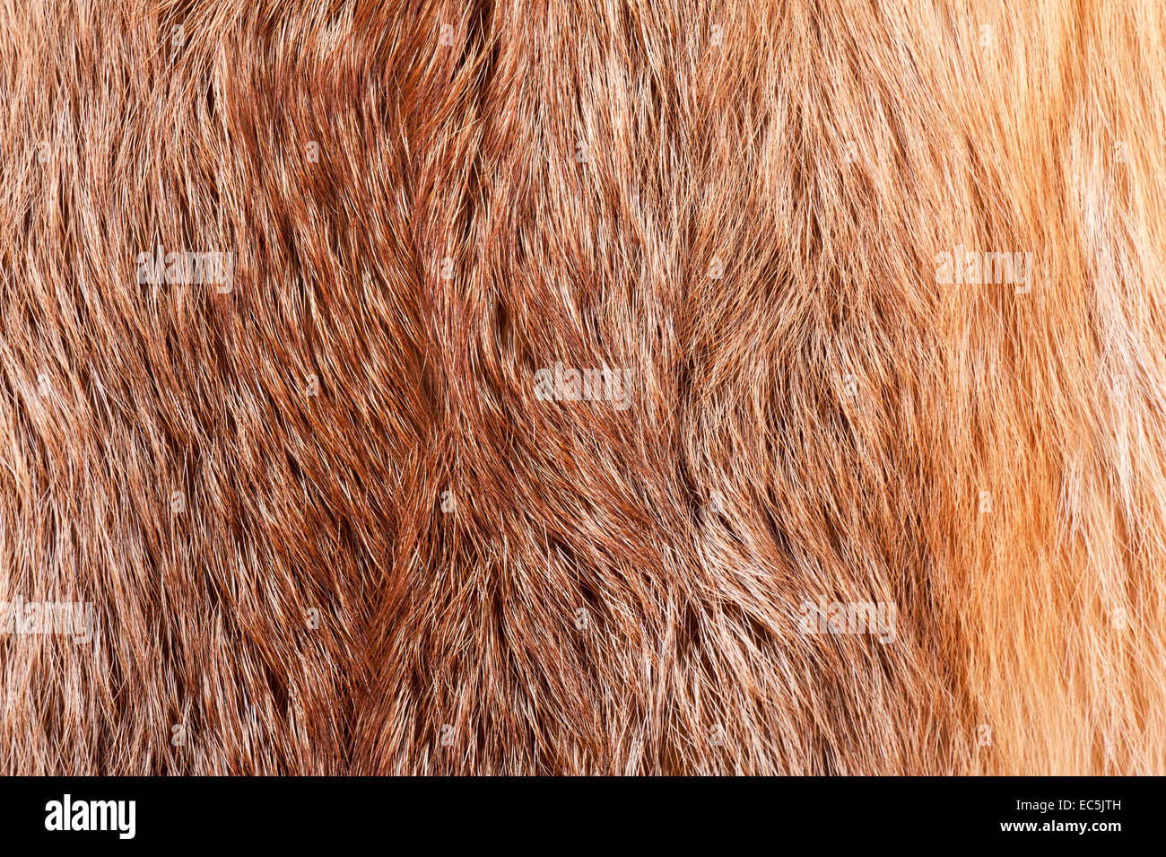 Red fox fur cloth texture abstract Stock Photo - Alamy