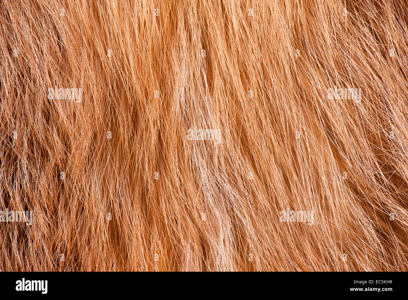 Red fox furry texture cloth abstract Stock Photo - Alamy