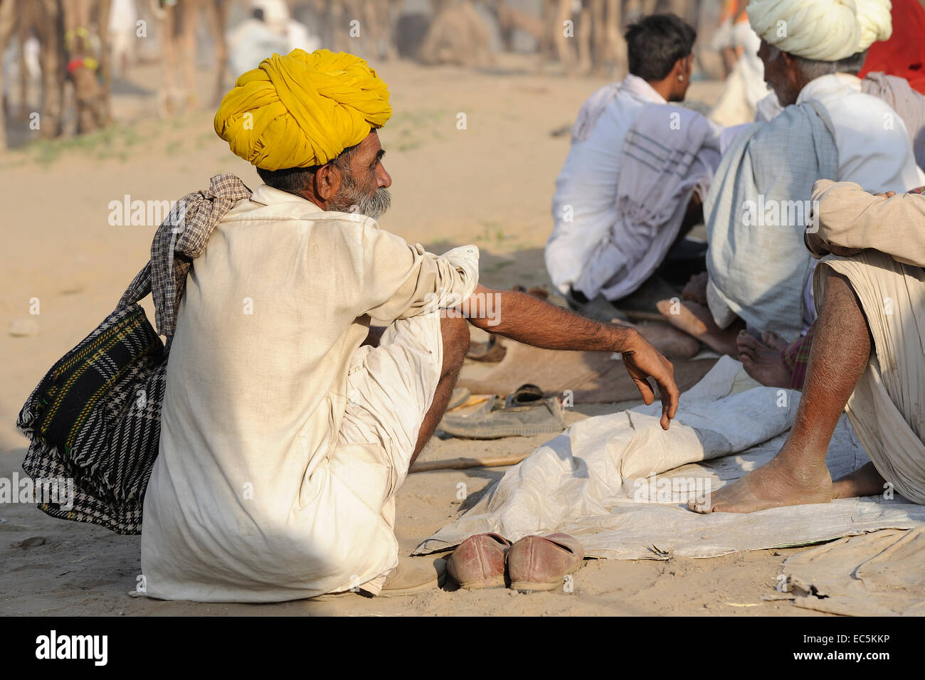Male drover hi-res stock photography and images - Alamy