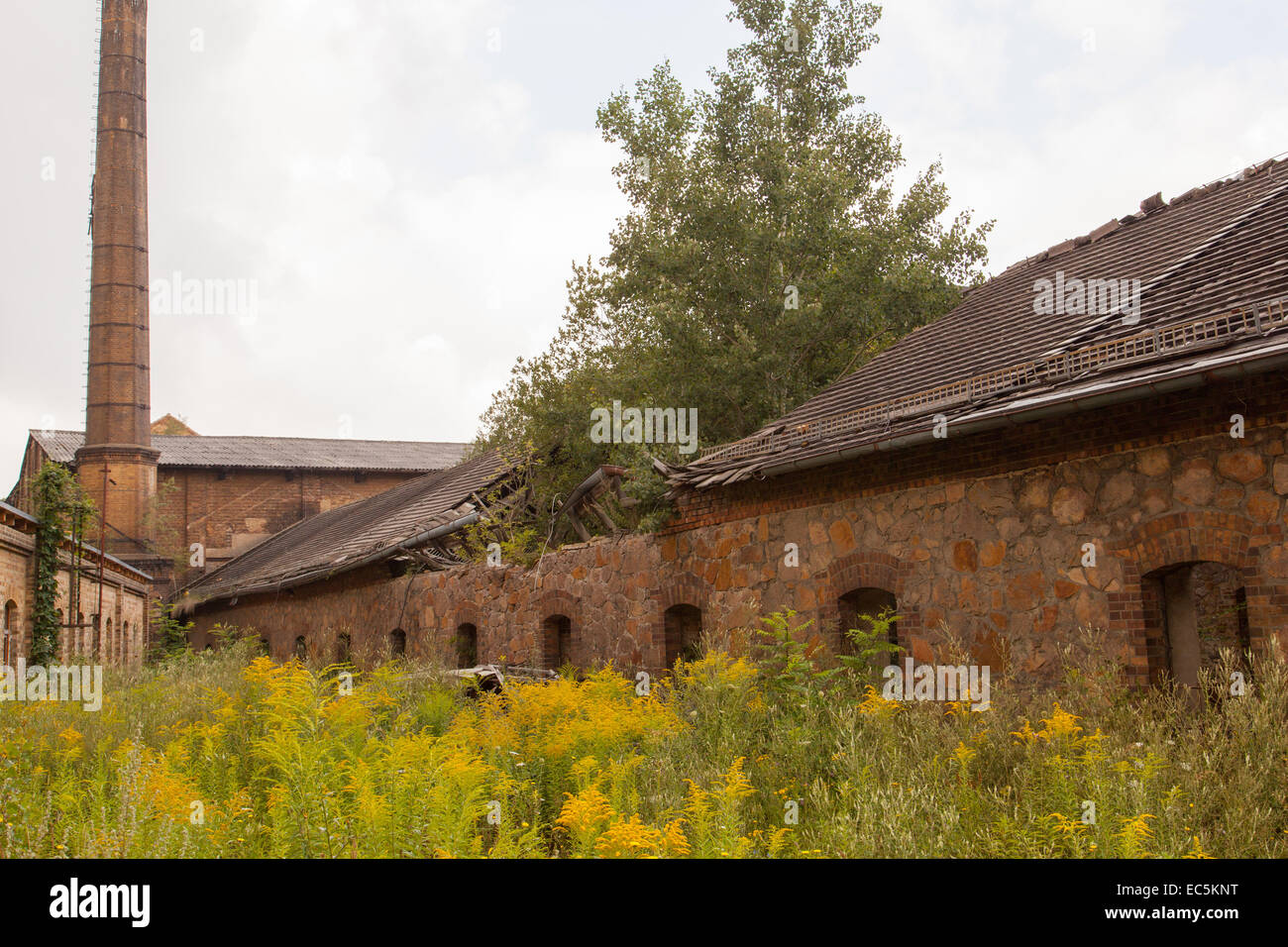 An old almost ruined factory building Stock Photo - Alamy