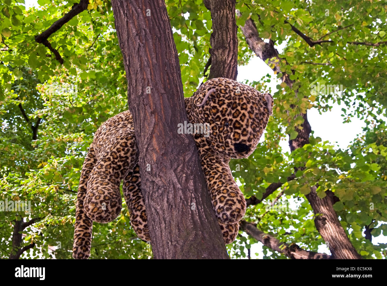 Animal symbolism hi-res stock photography and images - Alamy
