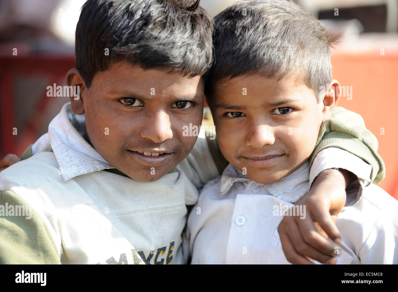 Cute young indian brother Stock Photo - Alamy