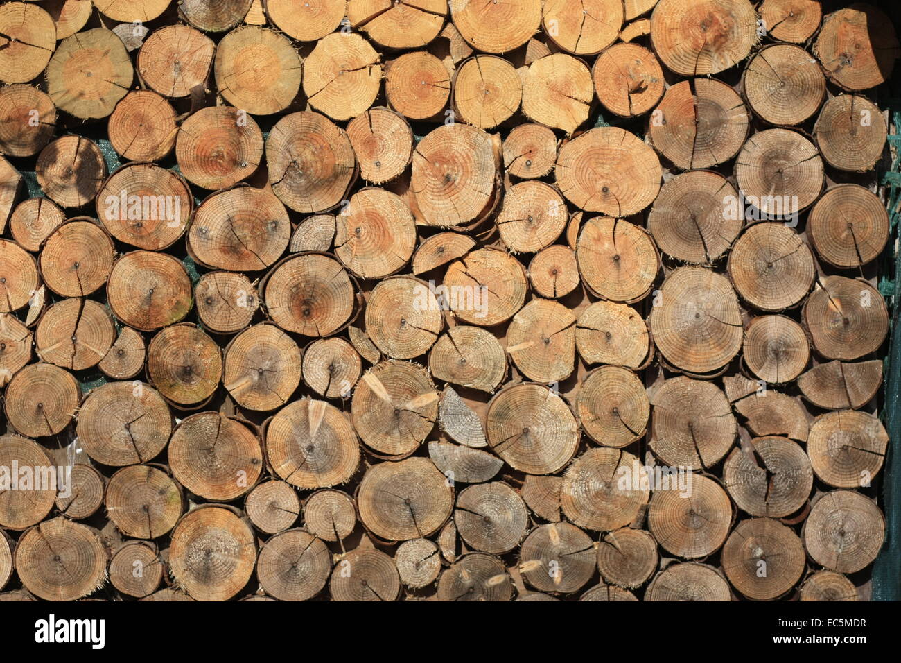 Stape hi-res stock photography and images - Alamy